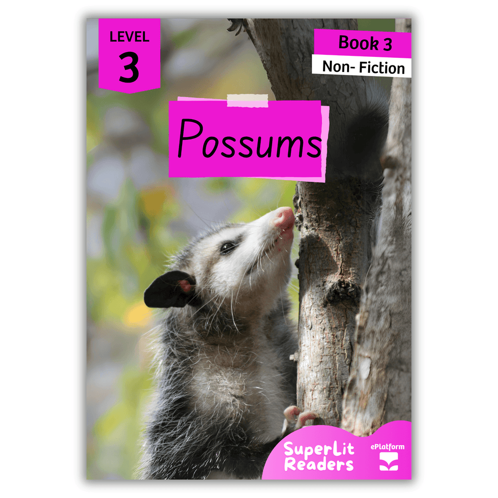 "Possums" Non-Fiction Level 3 (Book 3) | Decodable Readers