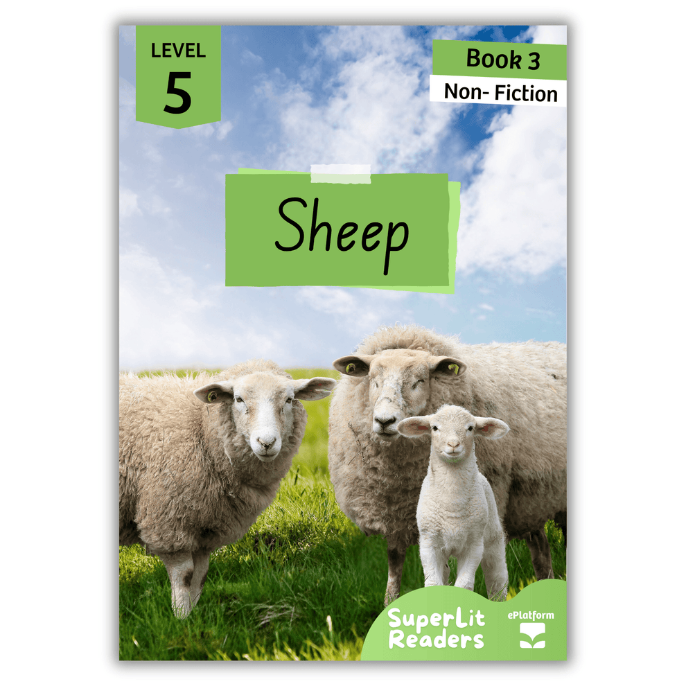 "Sheep" Non-Fiction Level 5 (Book 3) | Decodable Readers – SuperLit ...
