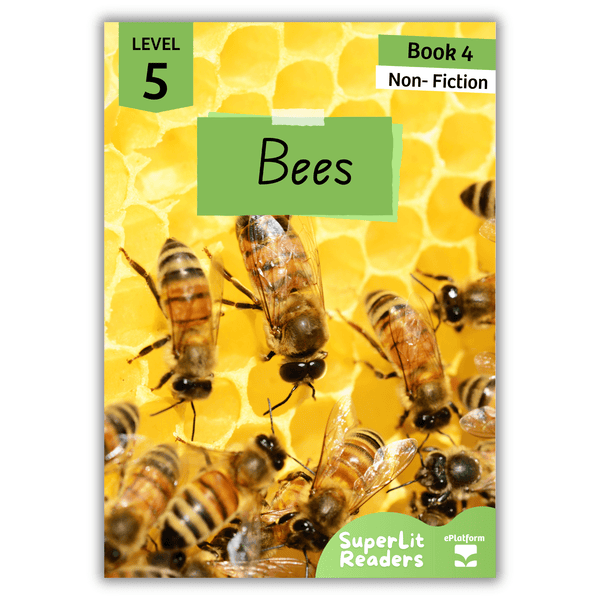 "Bees" Non-Fiction Level 5 (Book 4) | Decodable Readers | SuperLit ...