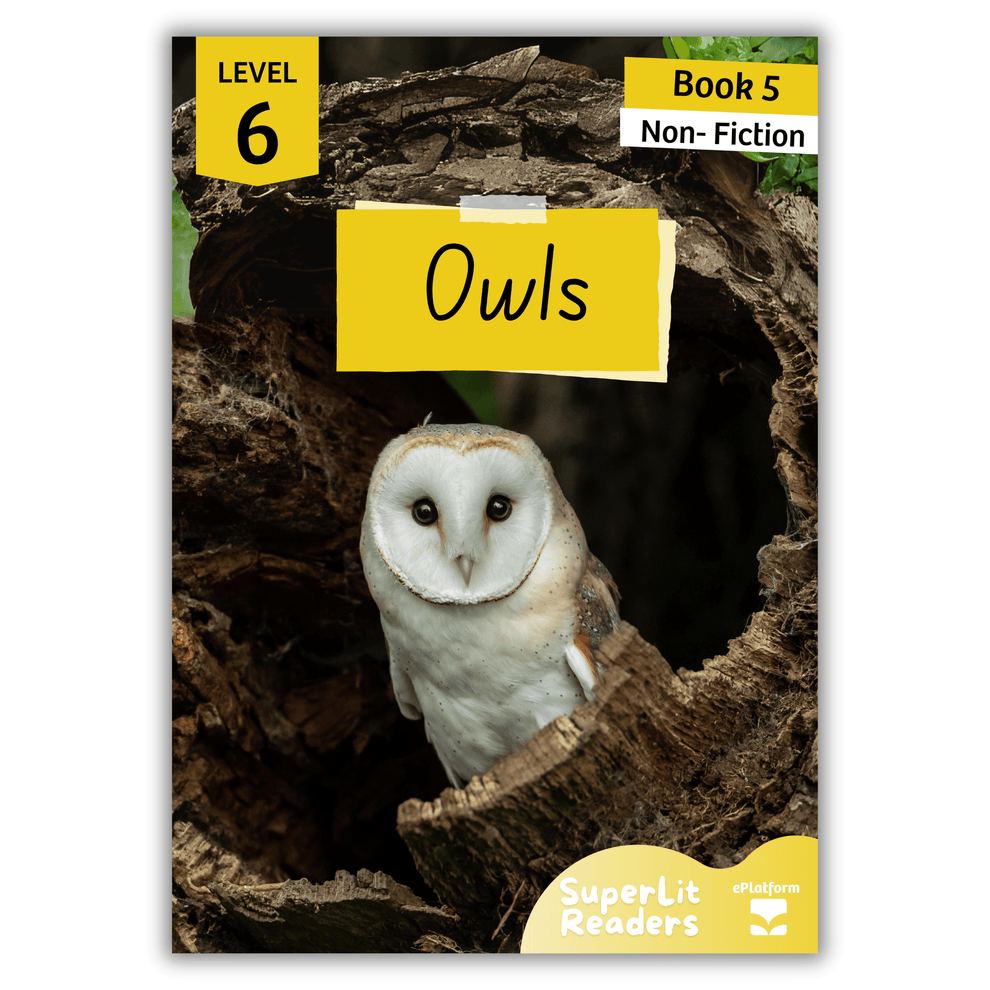 "Owls" Non-Fiction Level 6 (Book 5) | Decodable Readers – SuperLit ...